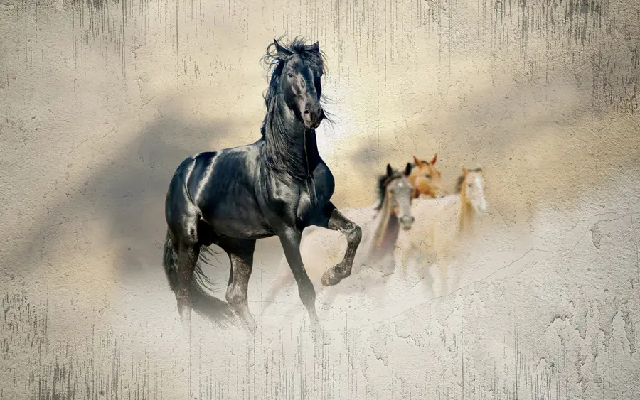 Fototapetai arkliai - internetinė parduotuvė Uwalls.lt